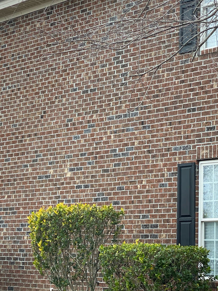 Northampton – Daniel Brick