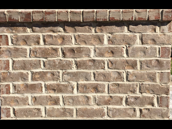 Castle Rock – Daniel Brick